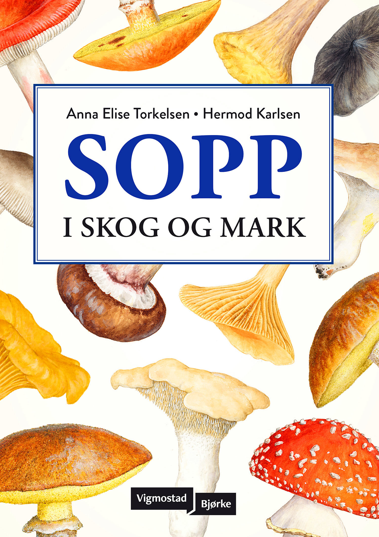 Sopp: i skog og mark Bok & Media