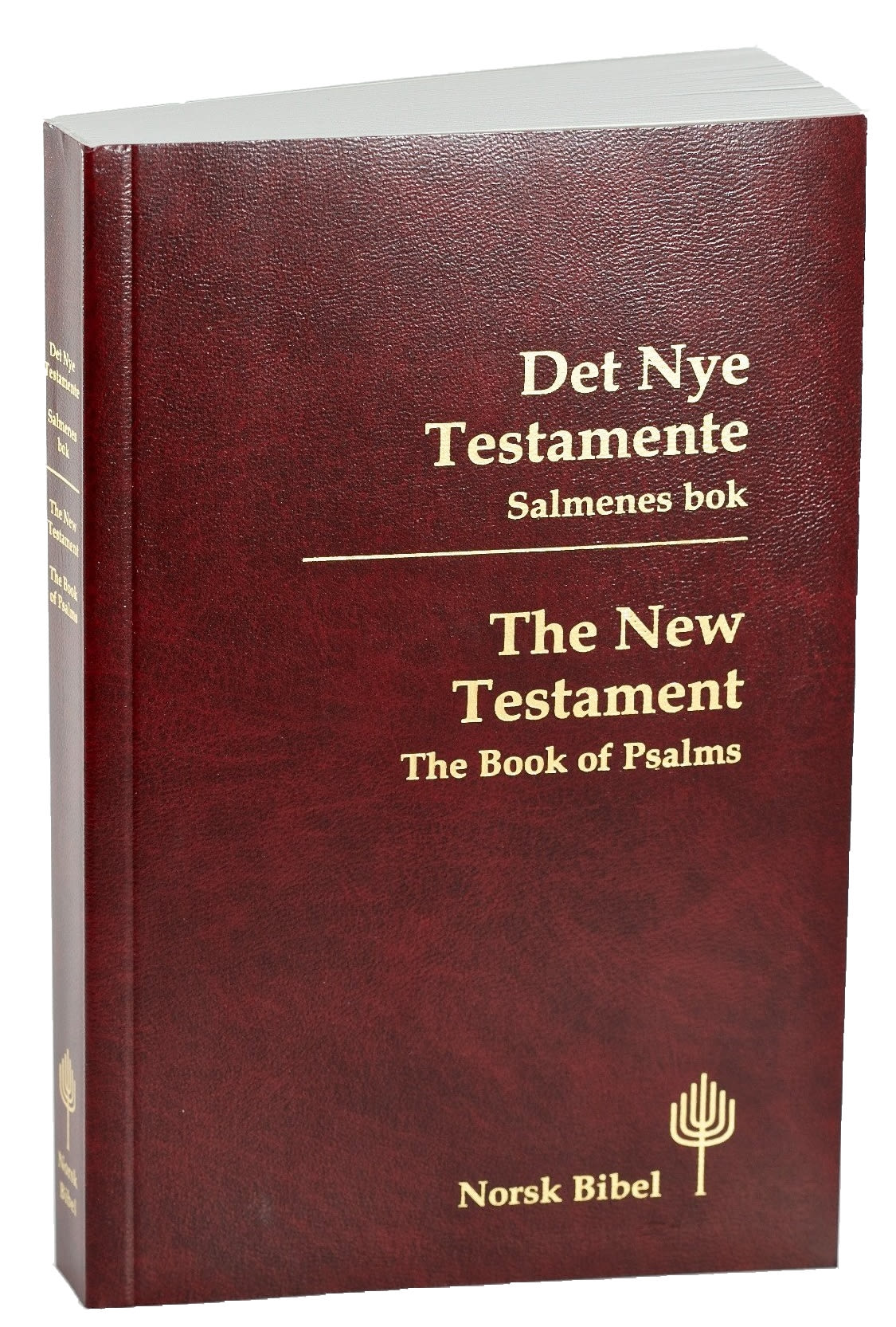 Bibelen den hellige skrift Det nye testamentet: salmenes bok / The New ...