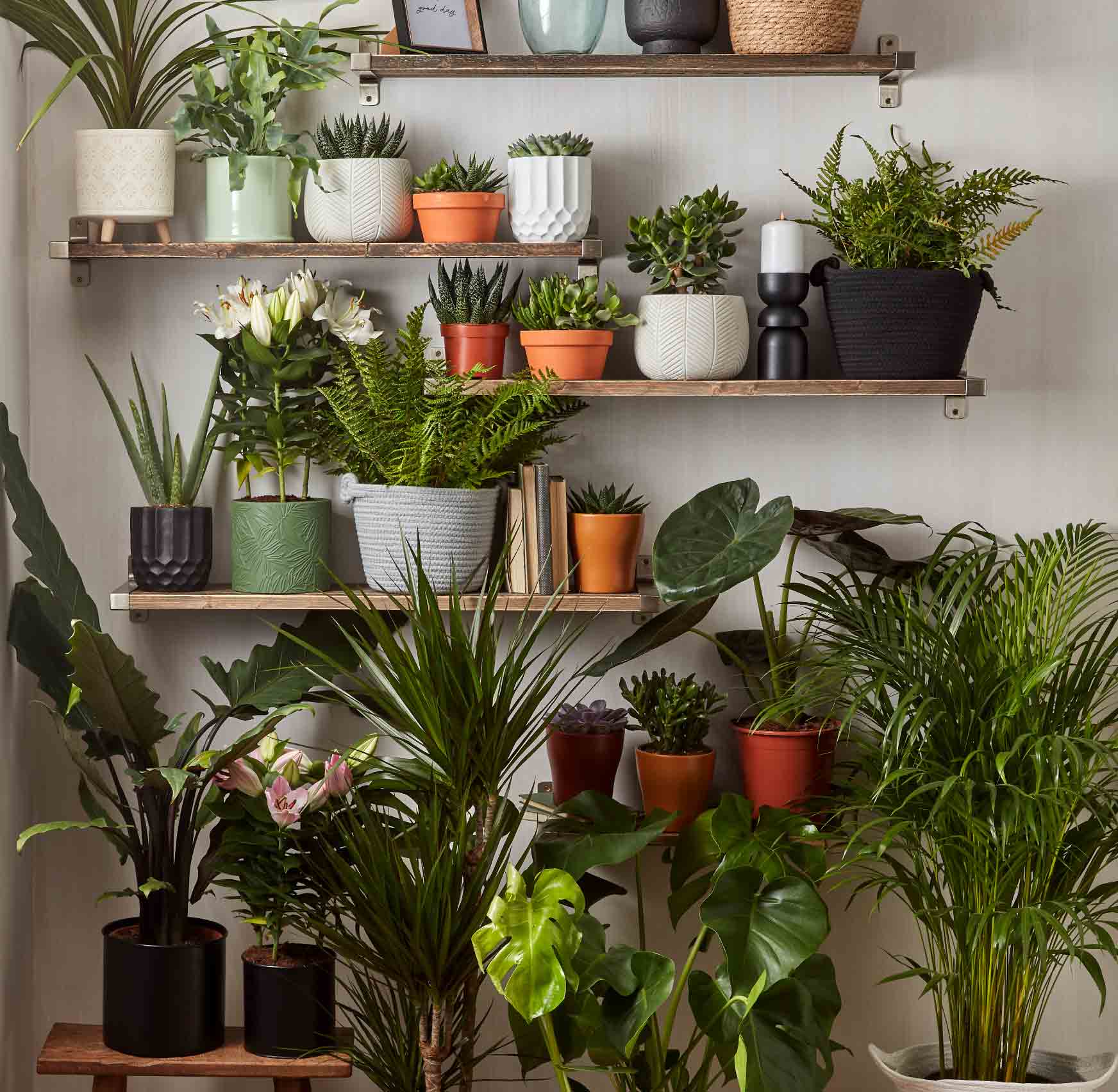 Step into Spring with B&M's Eden Life Trend | B&M Lifestyle