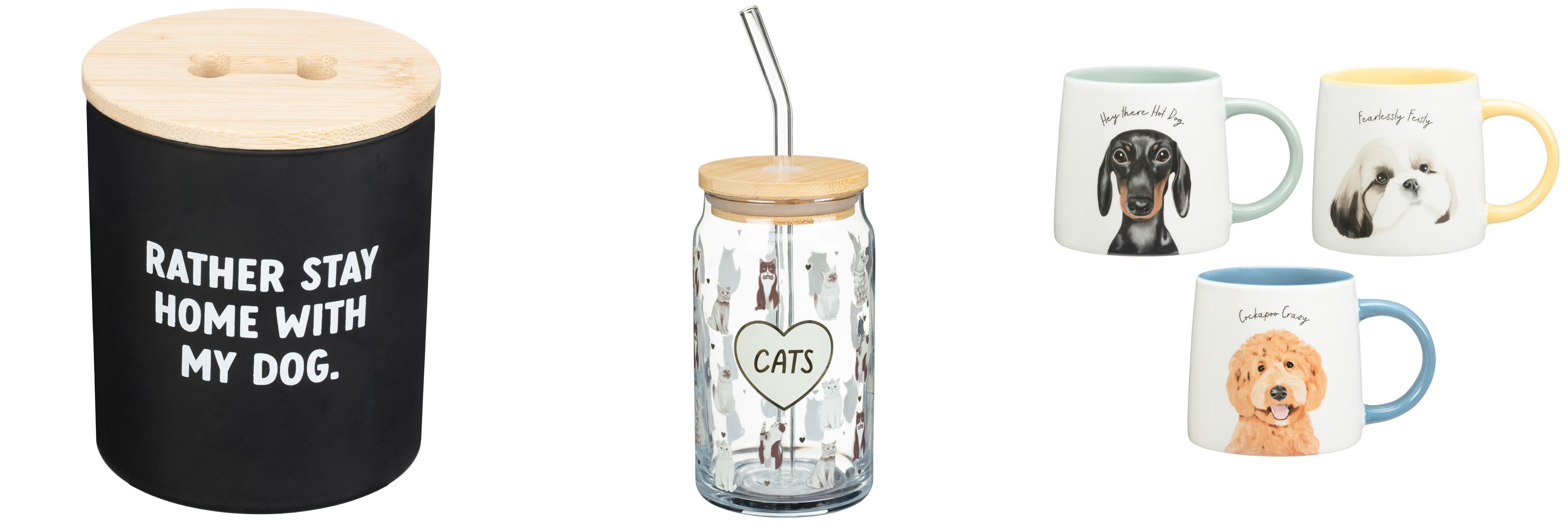 Paw-fect Valentine's Day Gifts Ideas for Pets | B&M Lifestyle