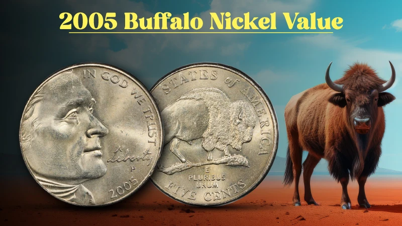 2005 Buffalo Nickel Value Guide | Rare Errors Worth $1000+
