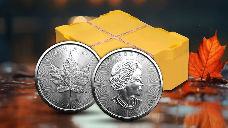 Silver Maple Leaf Monster Box | BOLD Precious Metals