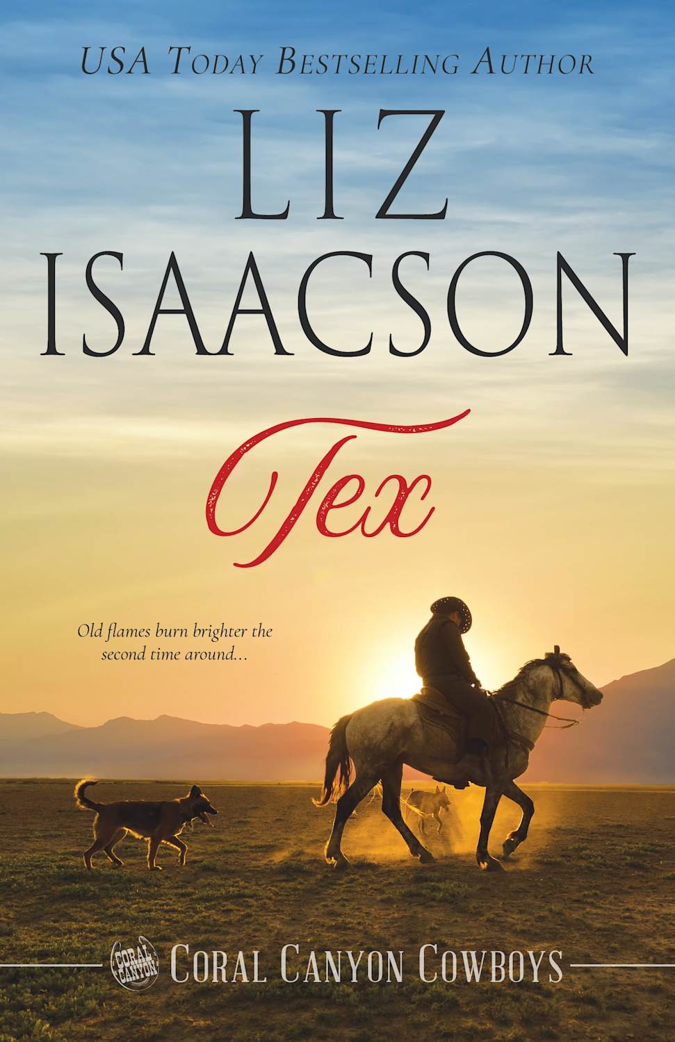 Tex by Liz Isaacson - BookBub
