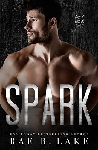 Spark: Boys of Djinn MC: A Gritty, MC Romantic Suspense Series by Rae B ...