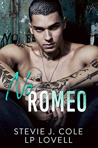 No Romeo: A Standalone Enemies to Lovers, Second Chance Romance (Dayton ...