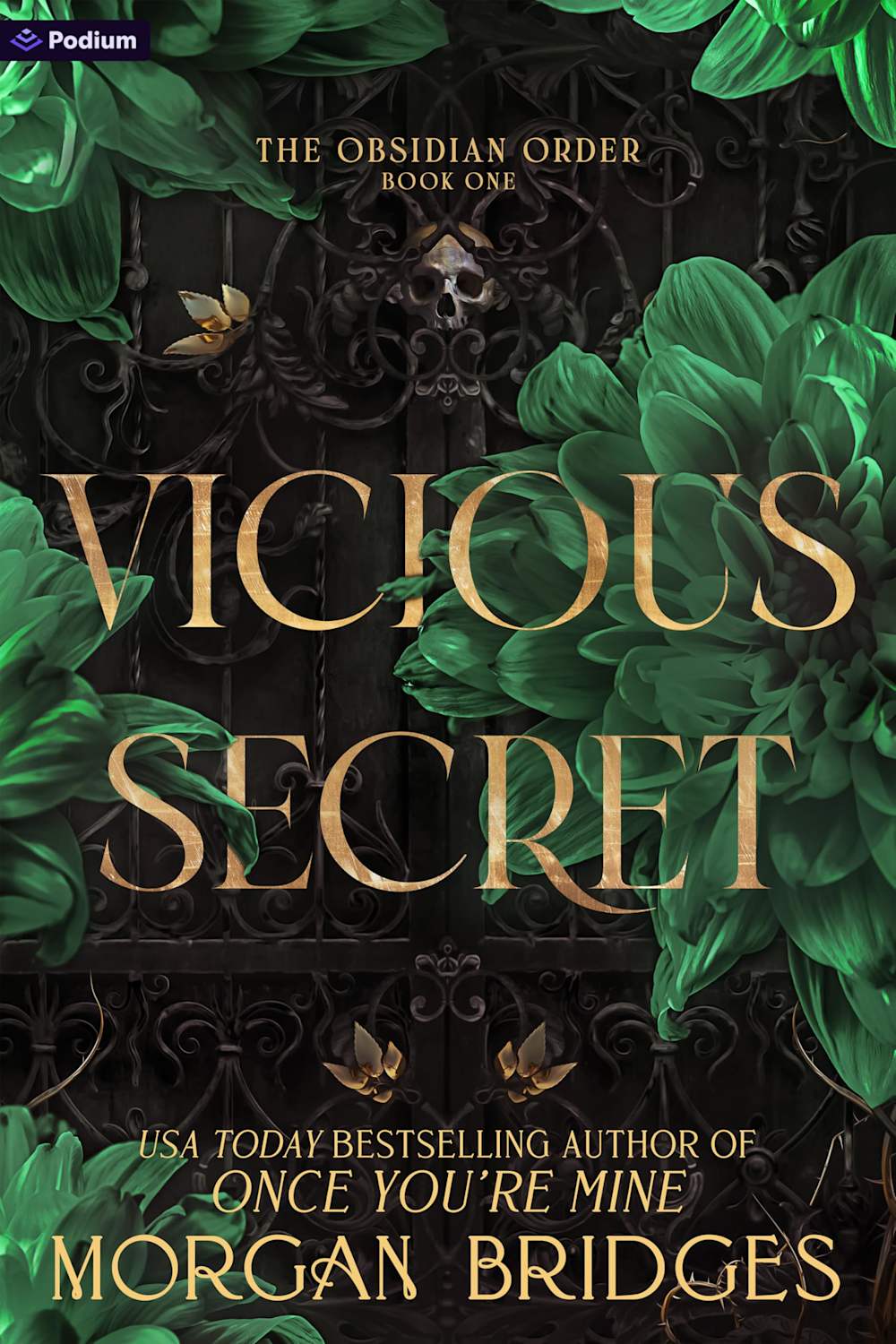 Vicious Secret: A Dark College Romance (The Obsidian Order Book 1) by ...