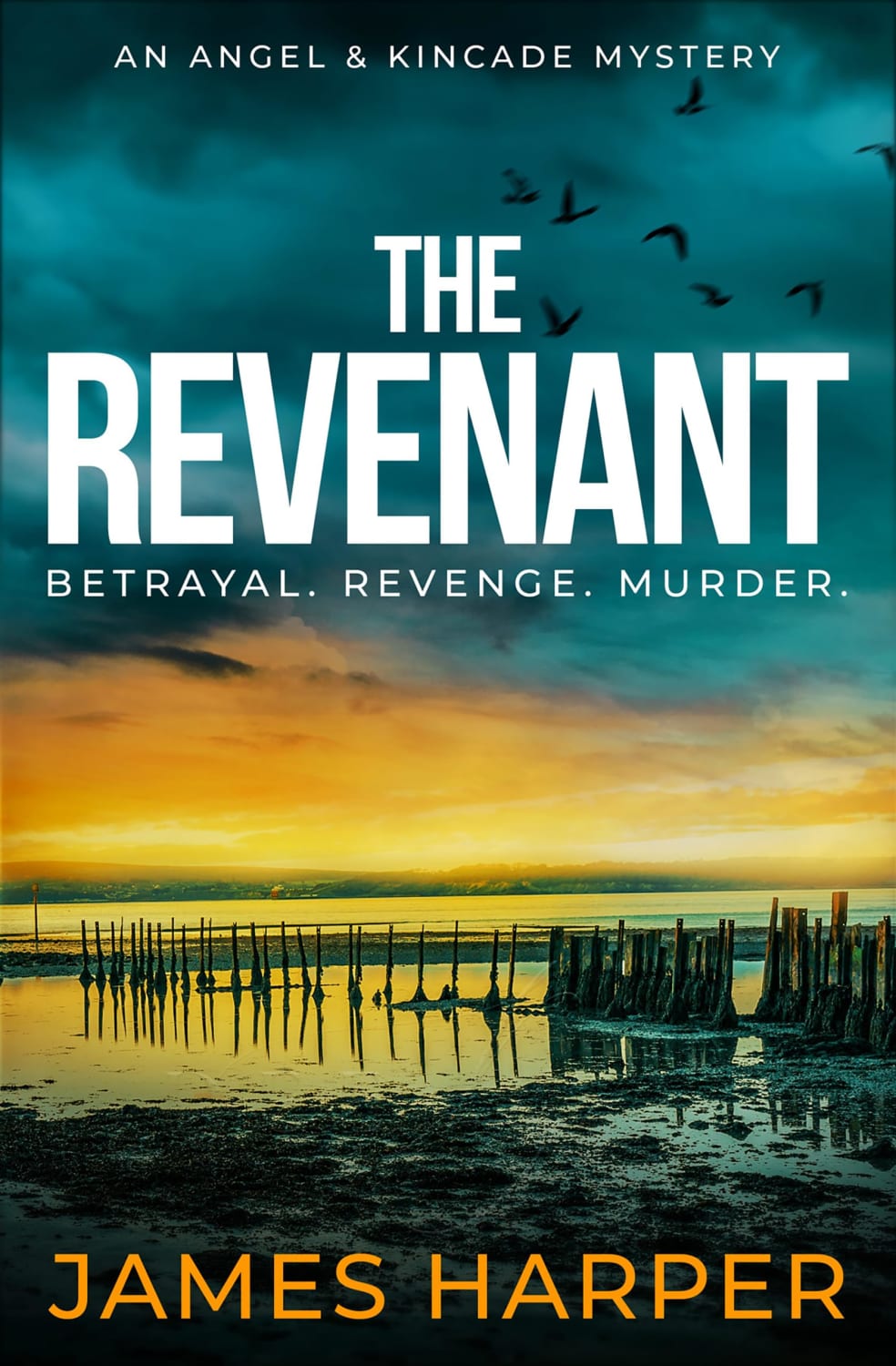 The Revenant: An Angel & Kincade Mystery (Angel & Kincade Murder Mysteries Book 1) by James ...