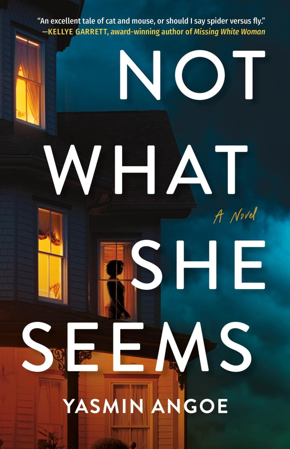 Not What She Seems: A Novel by Yasmin Angoe - BookBub