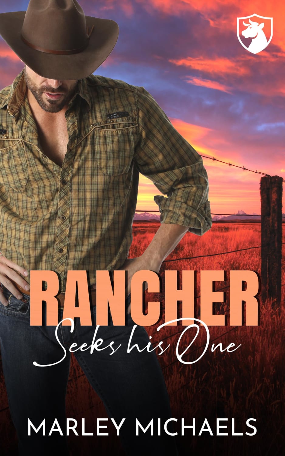 Rancher Seeks His One by Marley Michaels - BookBub