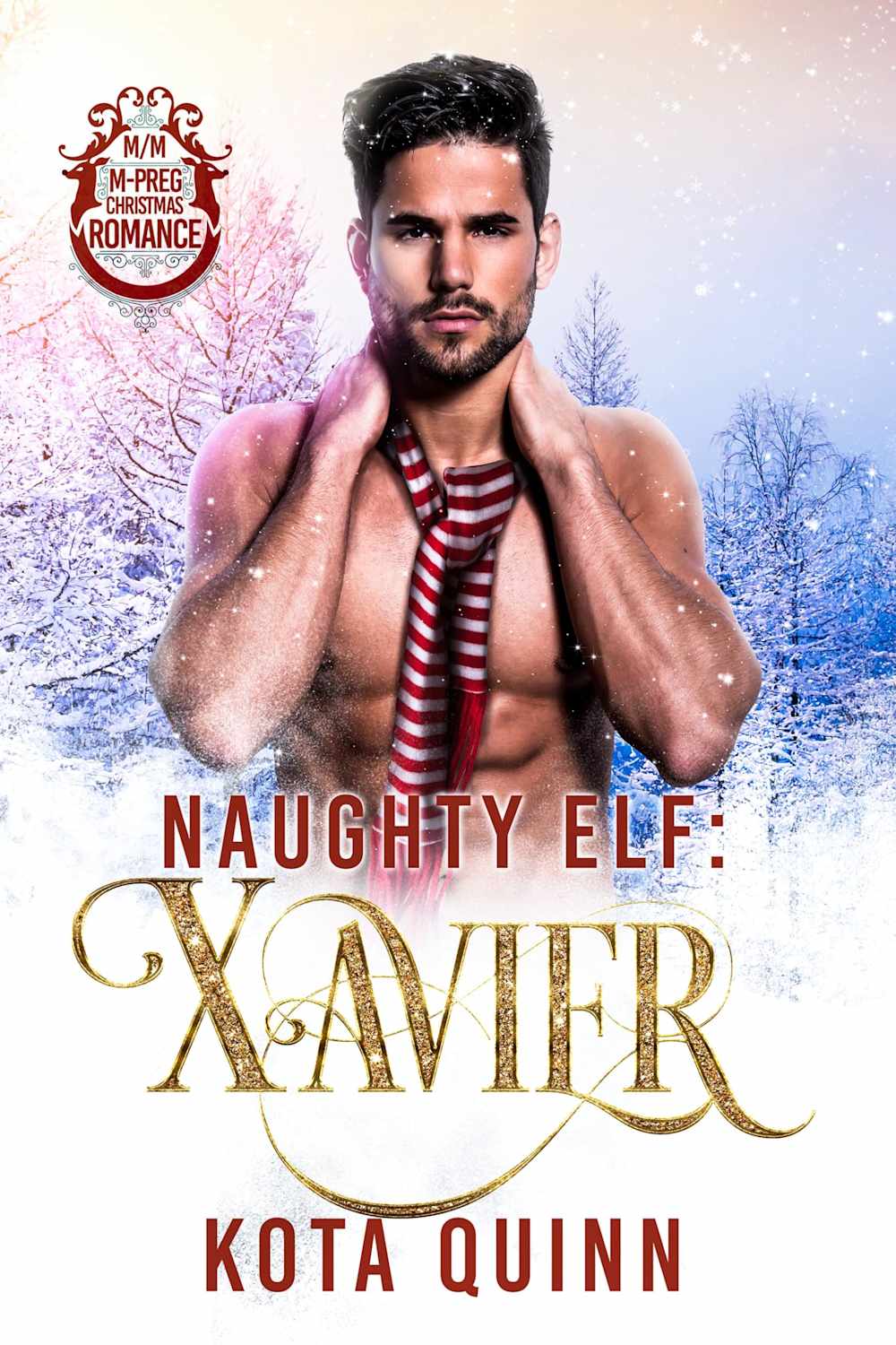 Naughty Elf: Xavier: M/M Mpreg Christmas Romance by Kota Quinn - BookBub