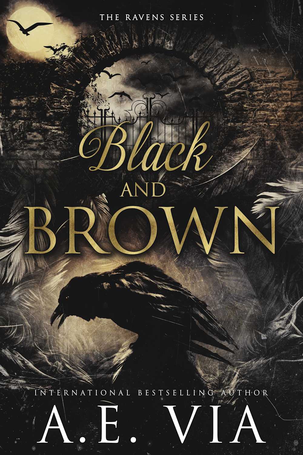 Black and Brown: Raven Assassins (Ravens Series Book 1) by A.E. Via ...