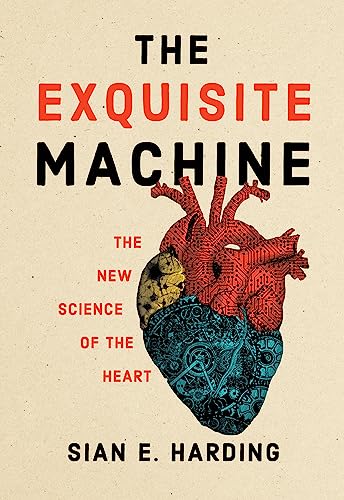 The Exquisite Machine by Sian E. Harding - BookBub