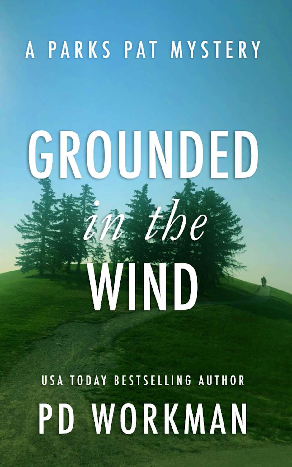 Grounded in the Wind: A quick-read police procedural set in picturesque ...