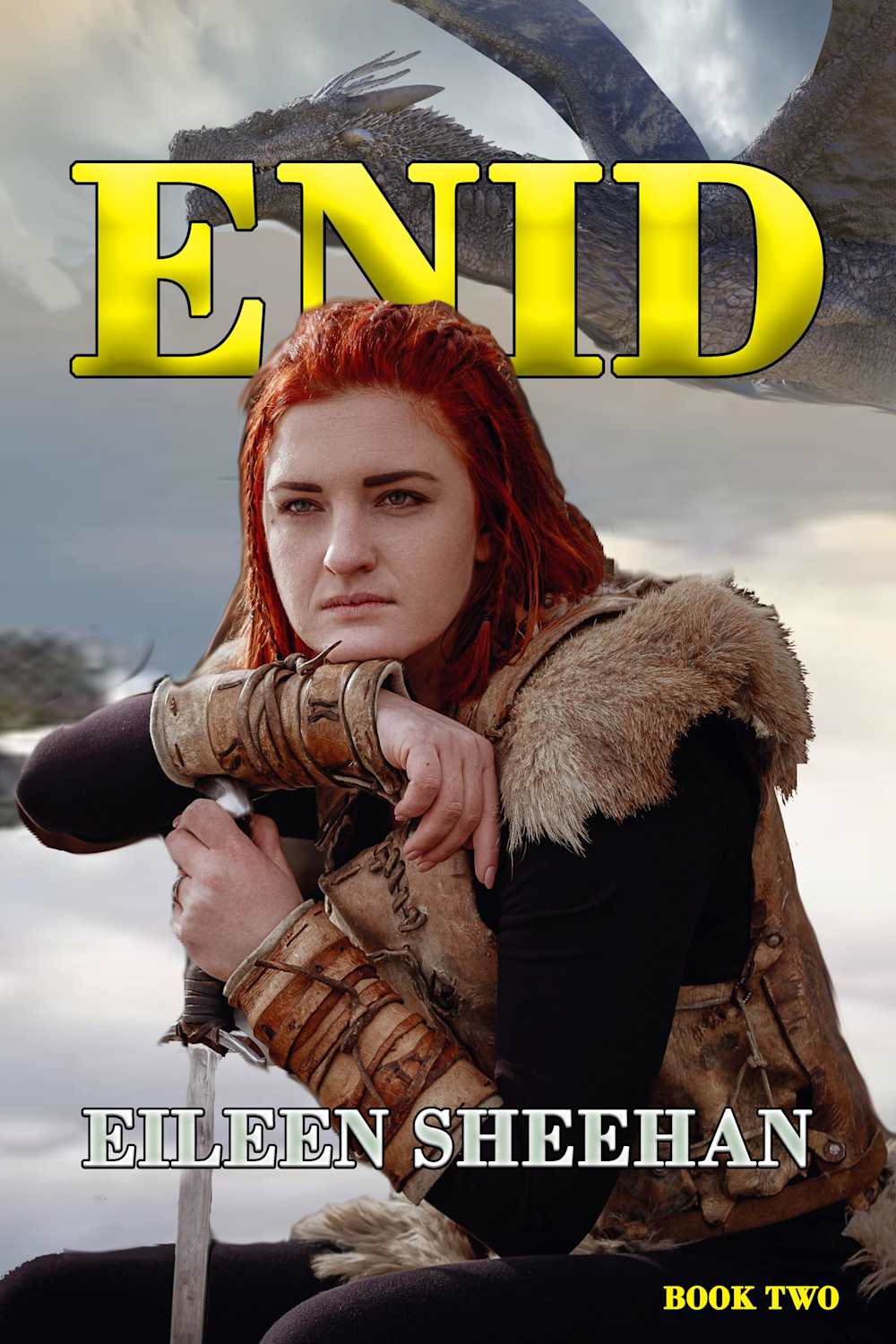 ENID (Book 2) by Eileen Sheehan - BookBub