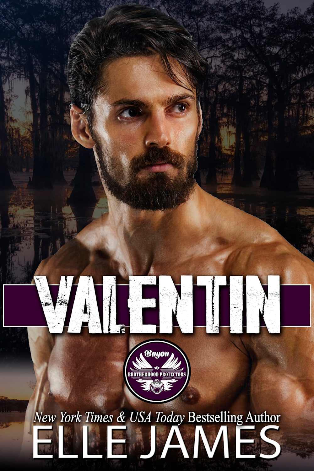 Valentin: Small Town, Protective Hero, Romantic Suspense (Bayou ...