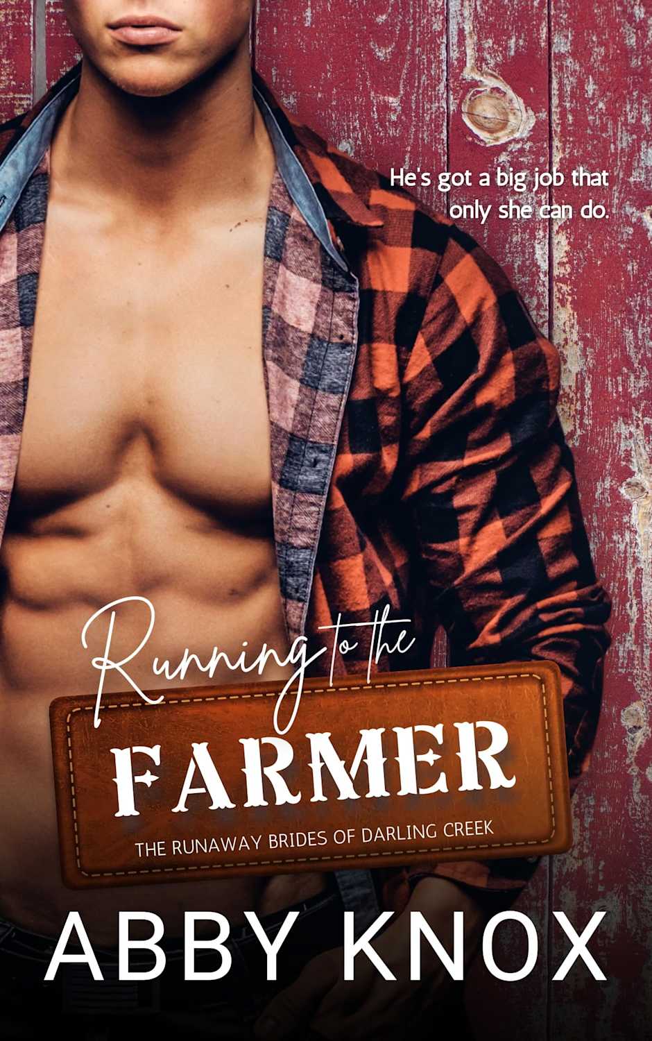 Running to the Farmer (The Runaway Brides of Darling Creek Book 2) by Abby Knox - BookBub