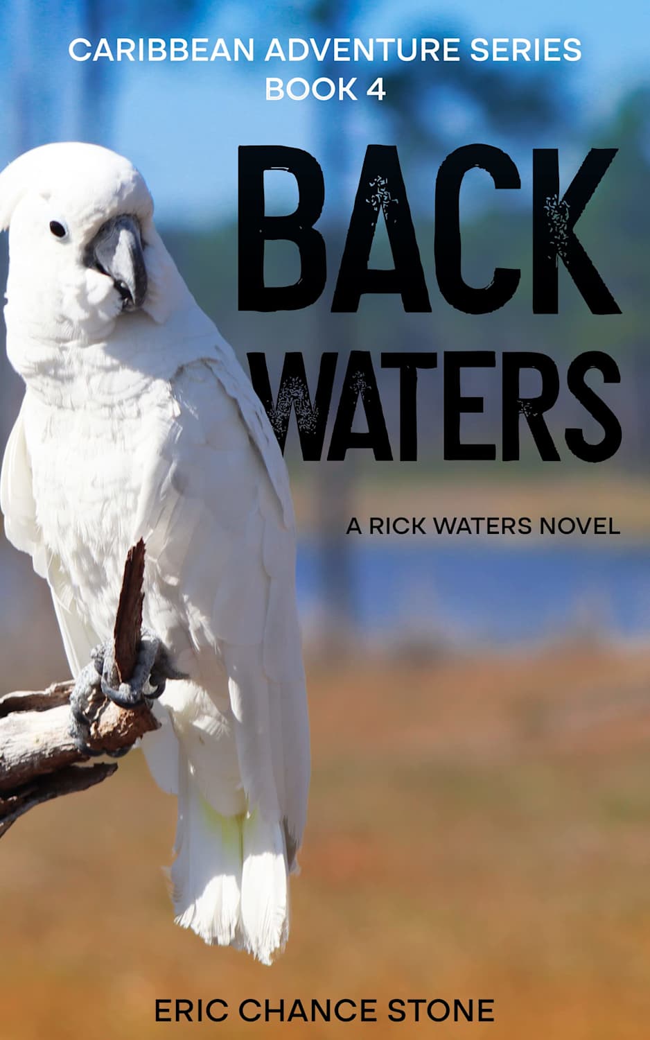 Back Waters by Eric Chance Stone - BookBub