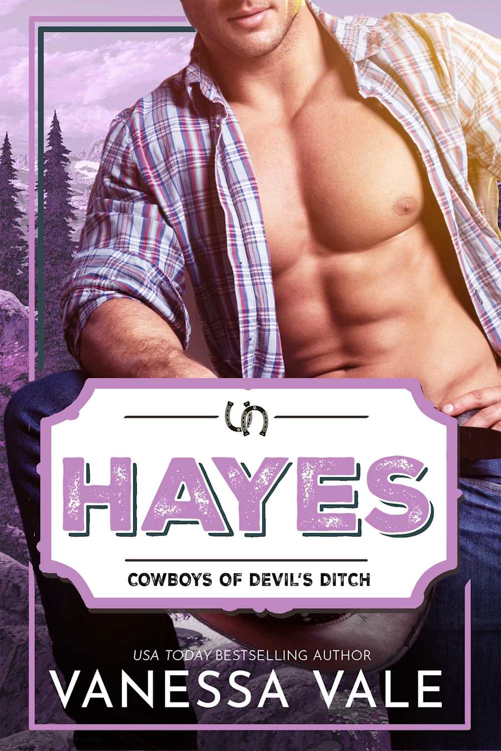 Hayes: A Small Town Cowboy Romance (Cowboys of Devil’s Ditch Book 9) by ...