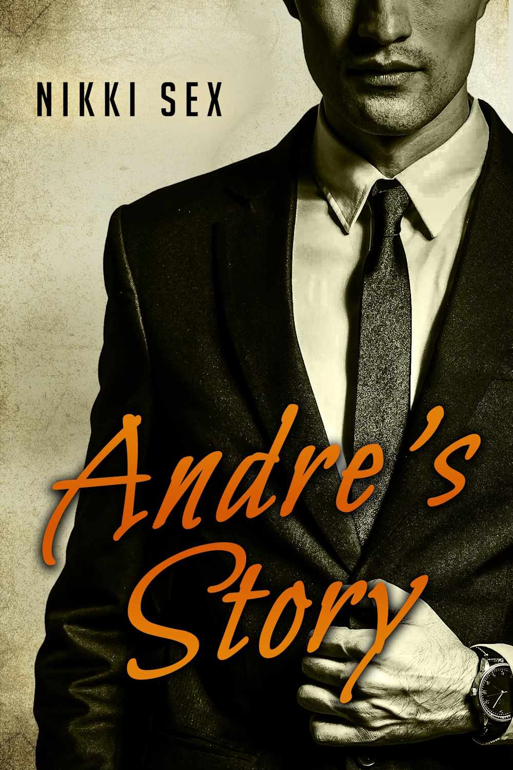 Andre’s Story (Andre Chevalier Contemporary Romance Book 14) by Nikki ...