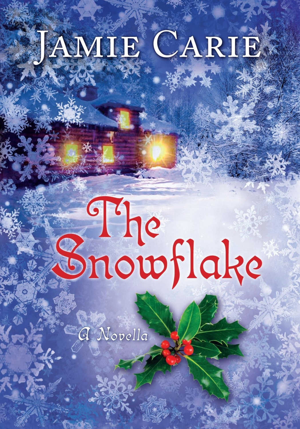 Free Discount Christian Fiction Ebooks Books And Novels BookBub