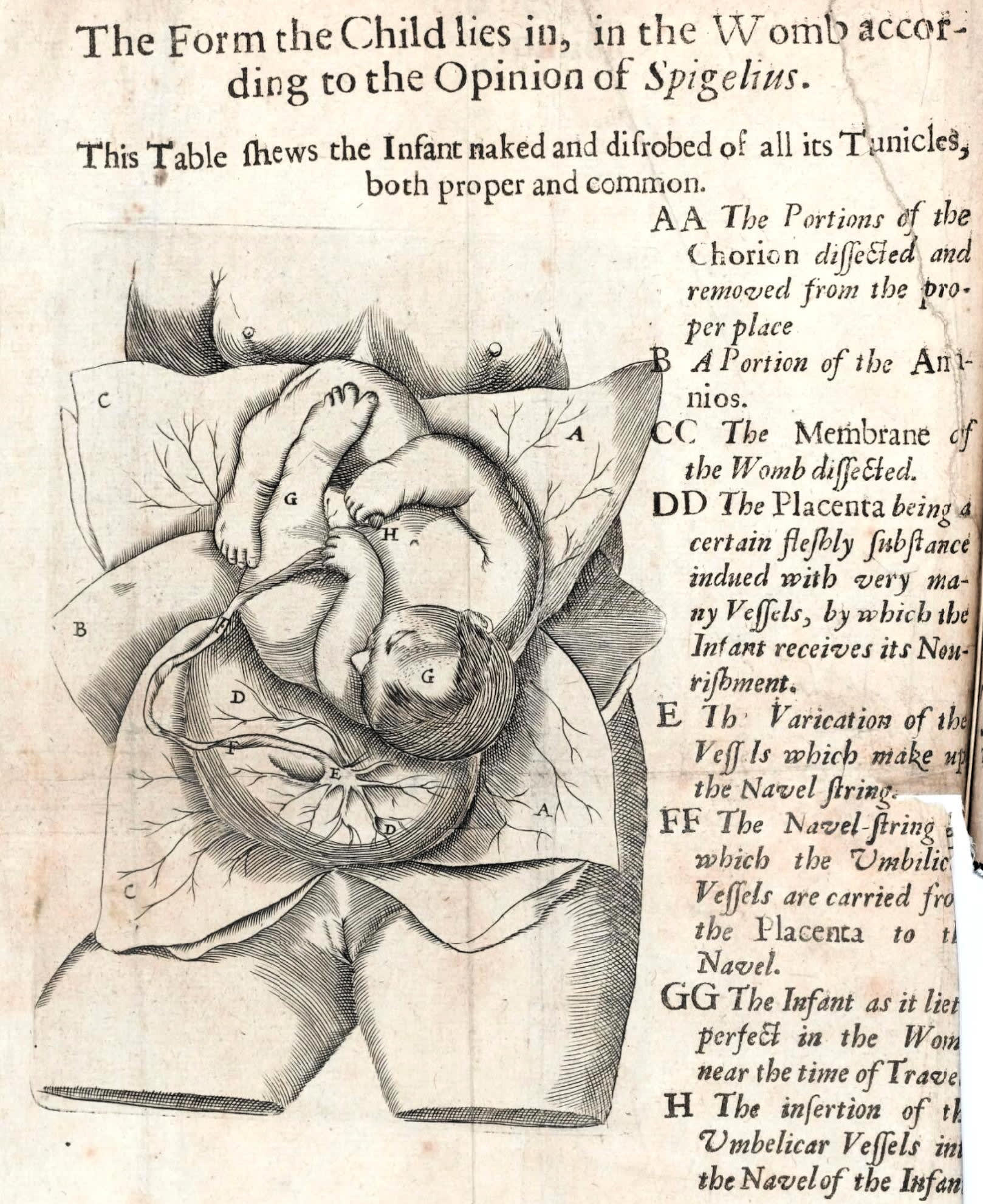 Digression 2: From MANUALS to YOUTUBE (with a detour) - Great Manuals ...