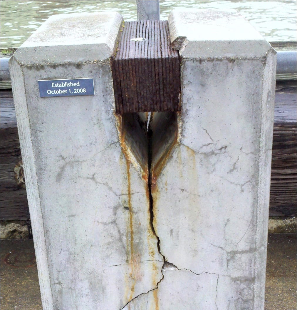 Rust Never Sleeps – Silverback Digest