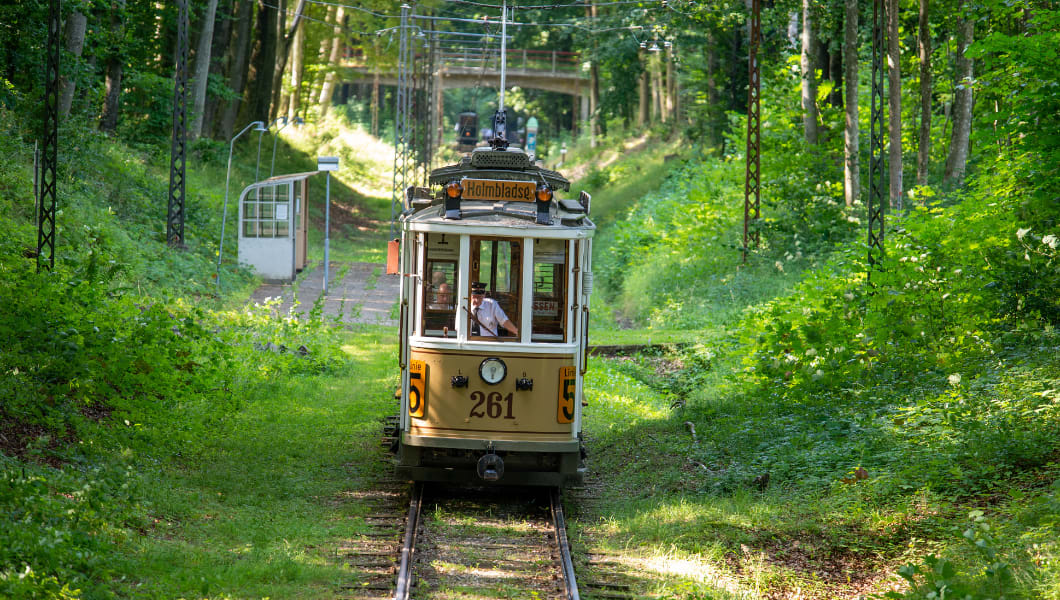 1 time fra byen: 10 x familievenlige dagsture, som vil hitte