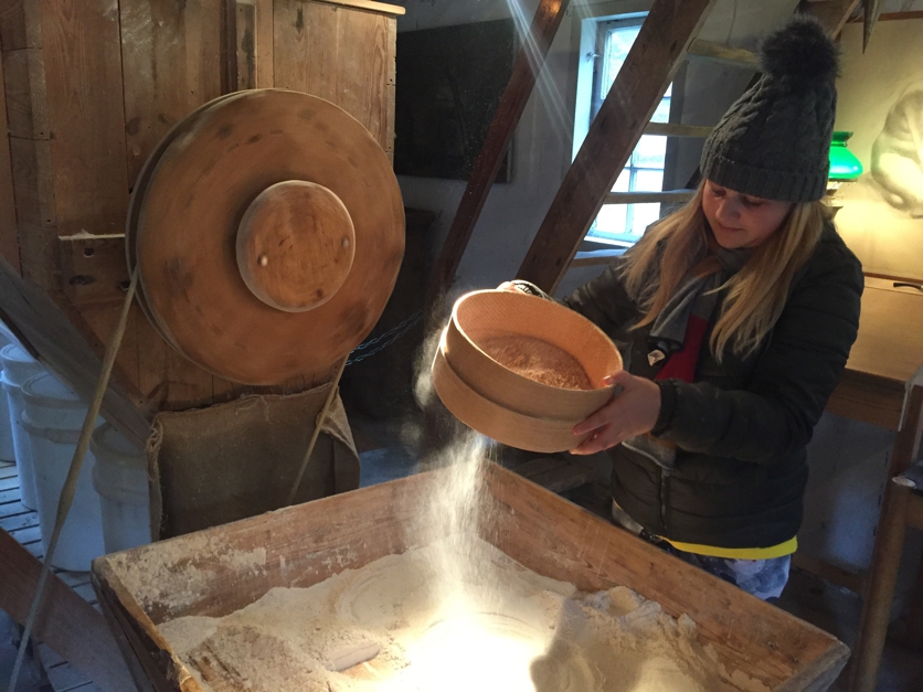 Skovmøllen ved Moesgård Museum