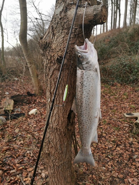 Lystfiskeri langs de Danske kyster