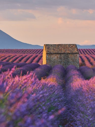 Vacanze a Giugno, Viaggi Organizzati e Tour | Boscolo