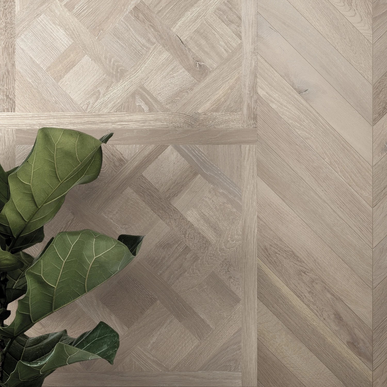 Reed Maple Milky - Boutique Stone Handpicked curated limestone flooring ...