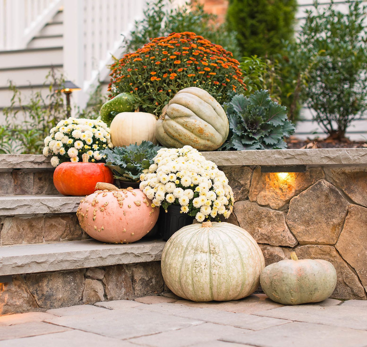 The Ultimate Pumpkin Identification Guide - Outdoor Dreams