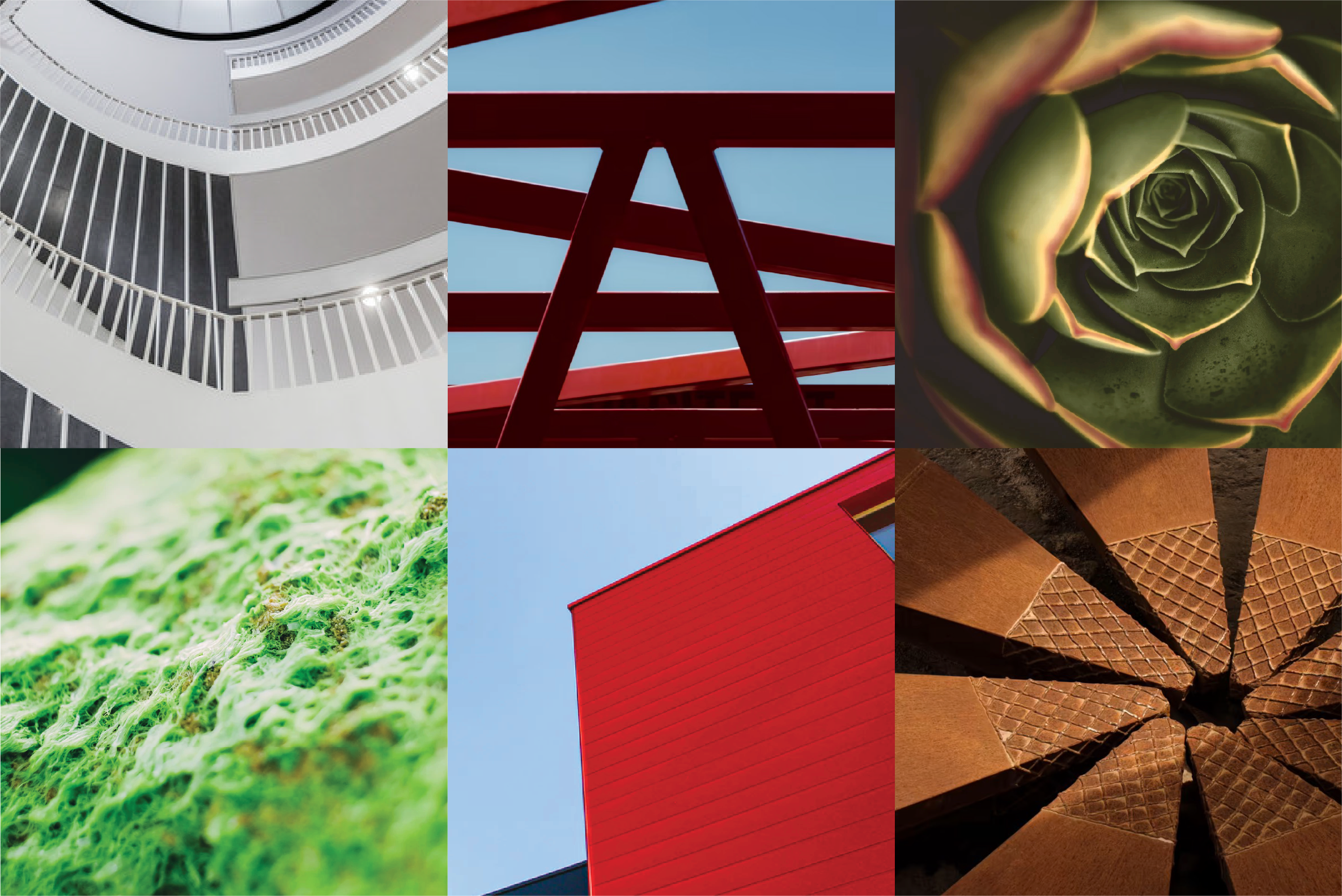 umontreal.ca - brand identity, guideline and assets.