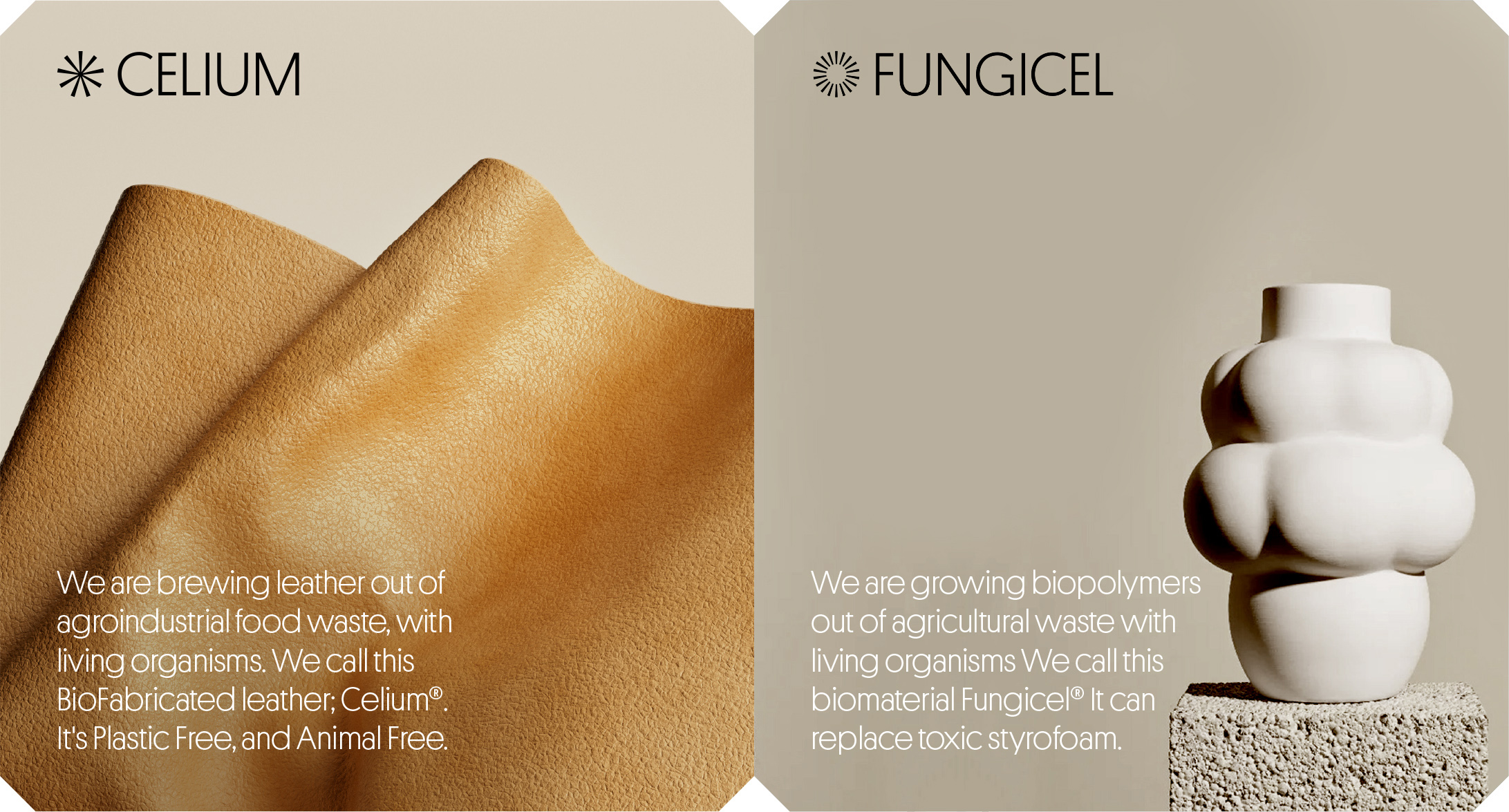 Polybion - brand identity, guideline and assets.