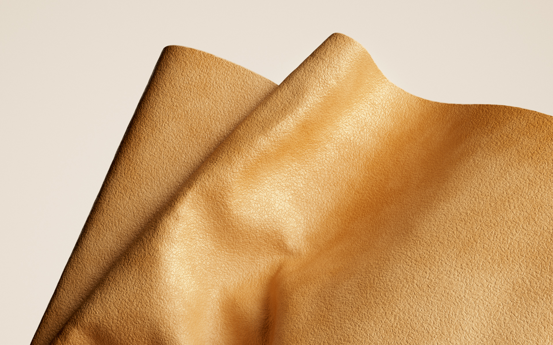 Polybion - brand identity, guideline and assets.