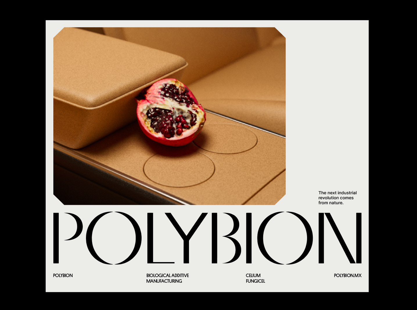 Polybion - brand identity, guideline and assets.