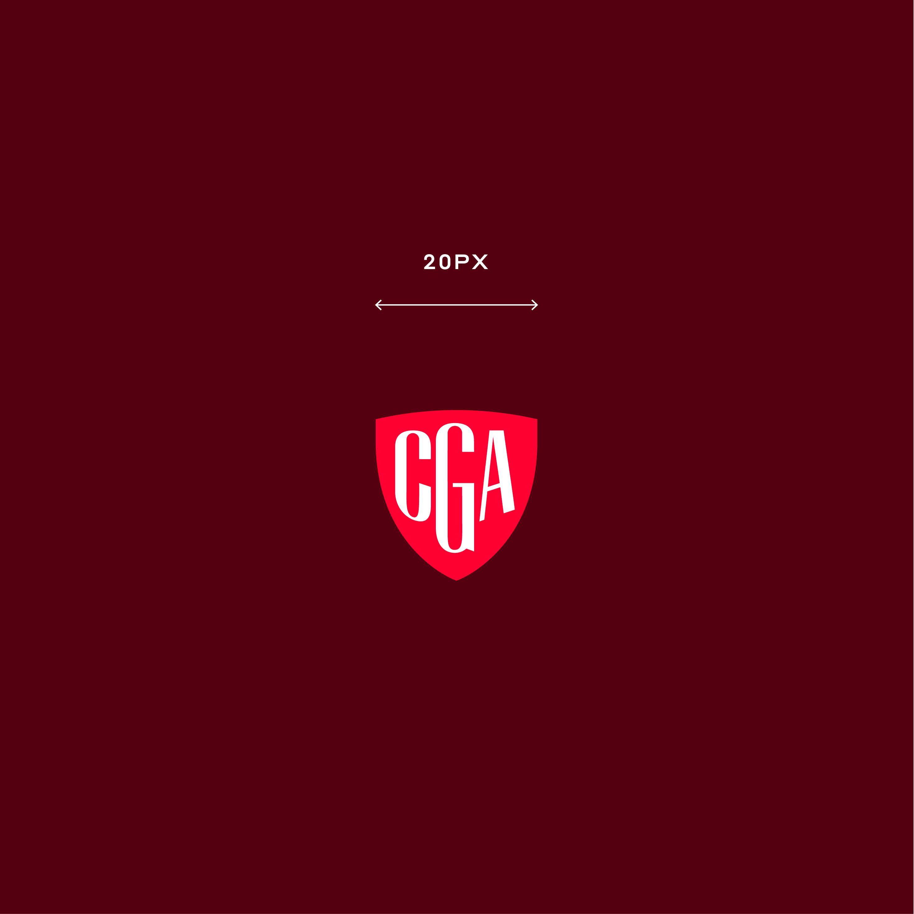 CGA copy - brand identity, guideline and assets.
