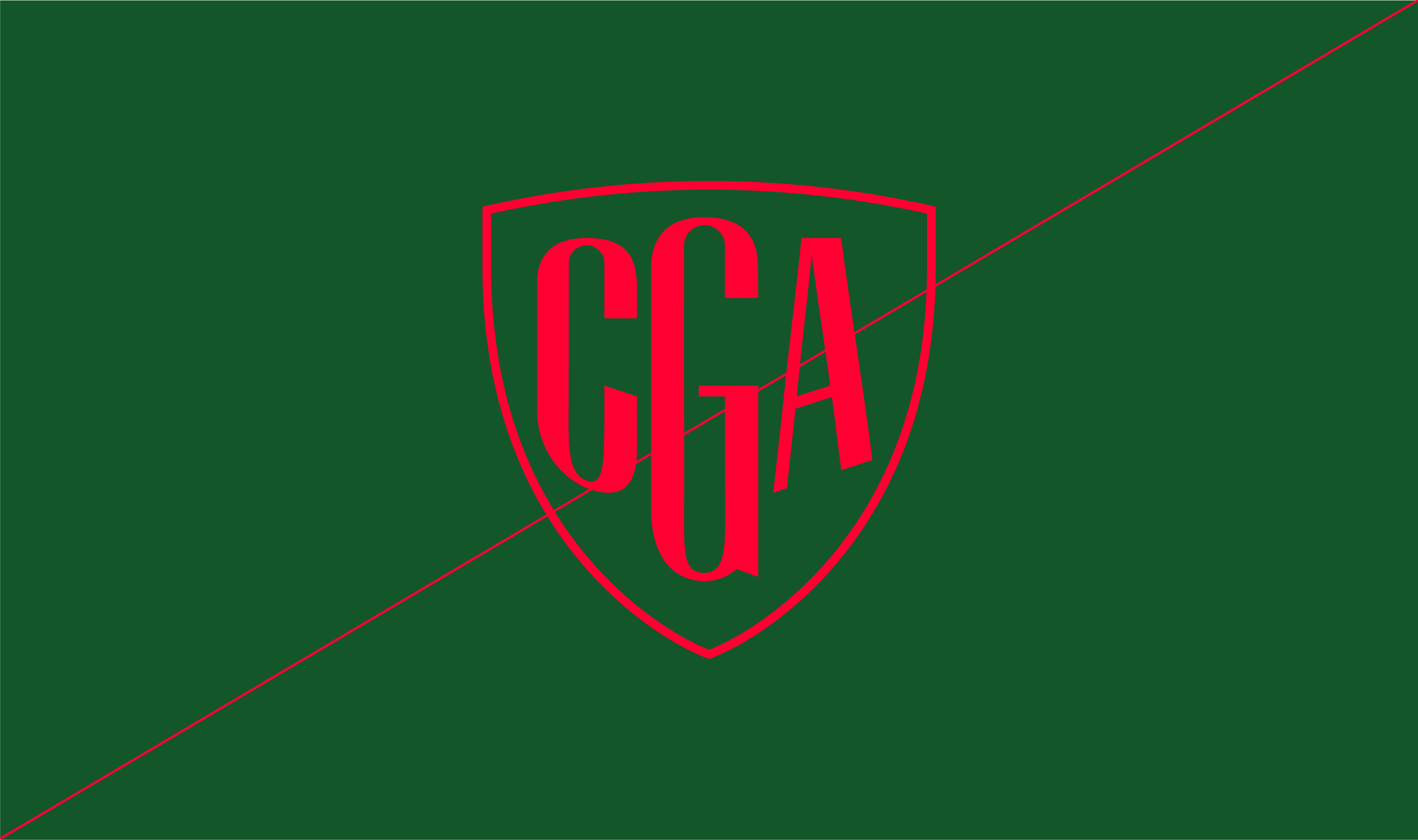 CGA - brand identity, guideline and assets.