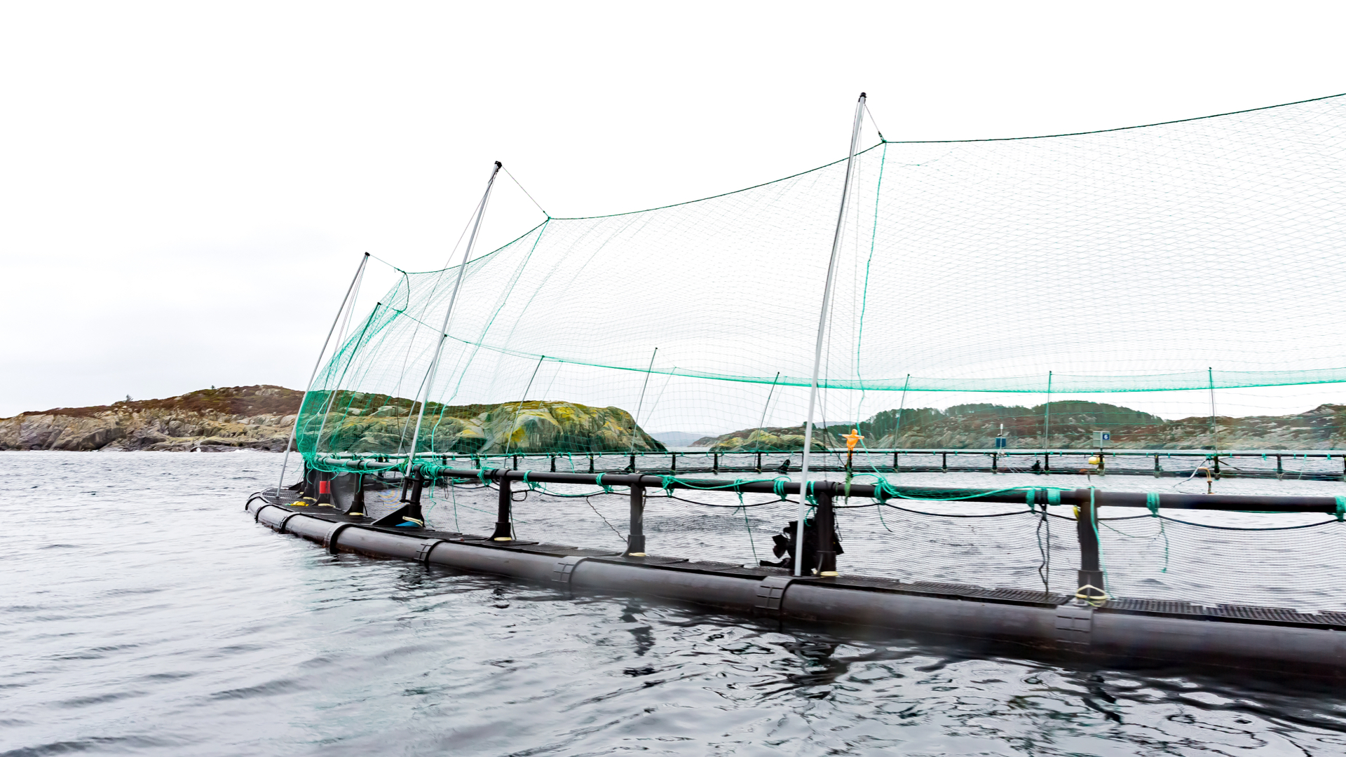 Redox - brand identity, guideline and assets.