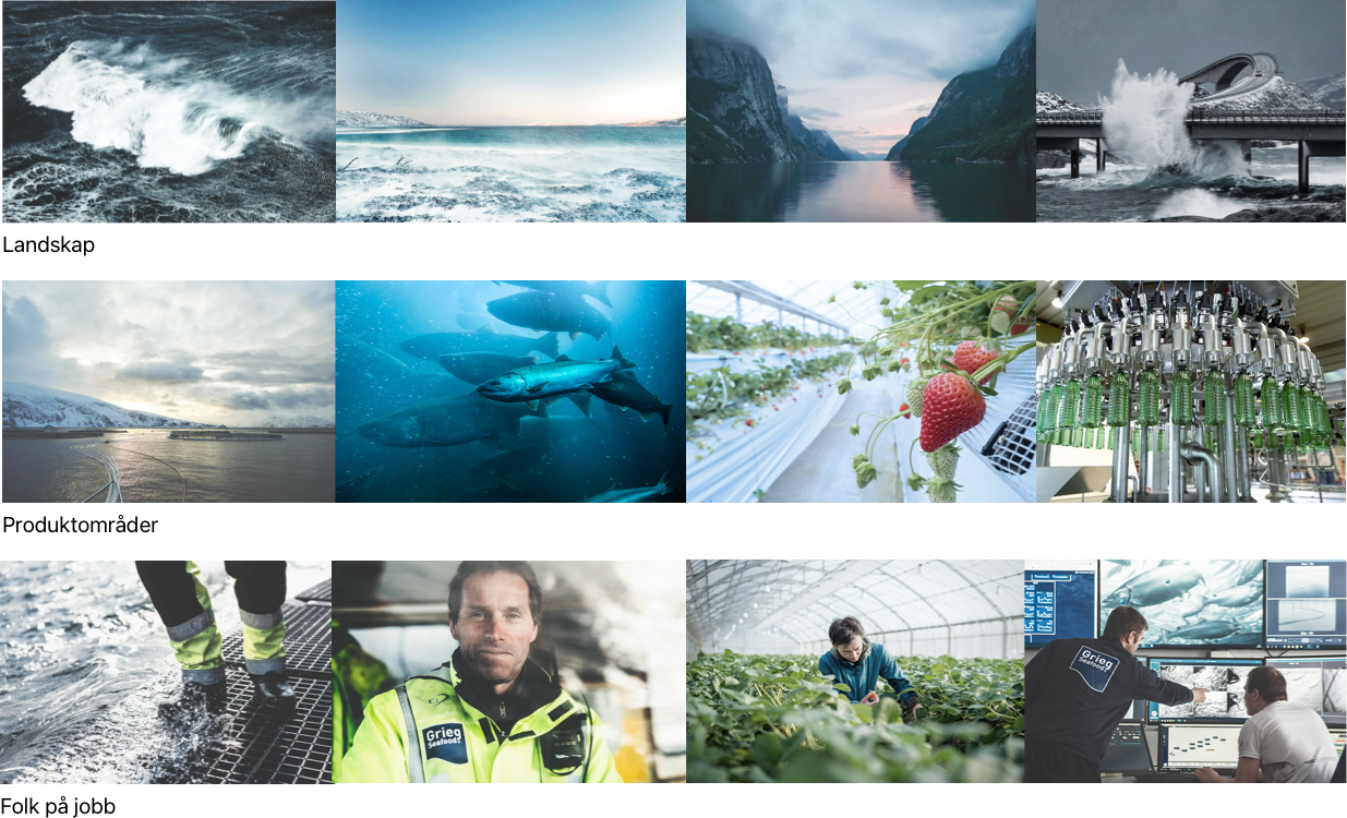 Redox - brand identity, guideline and assets.