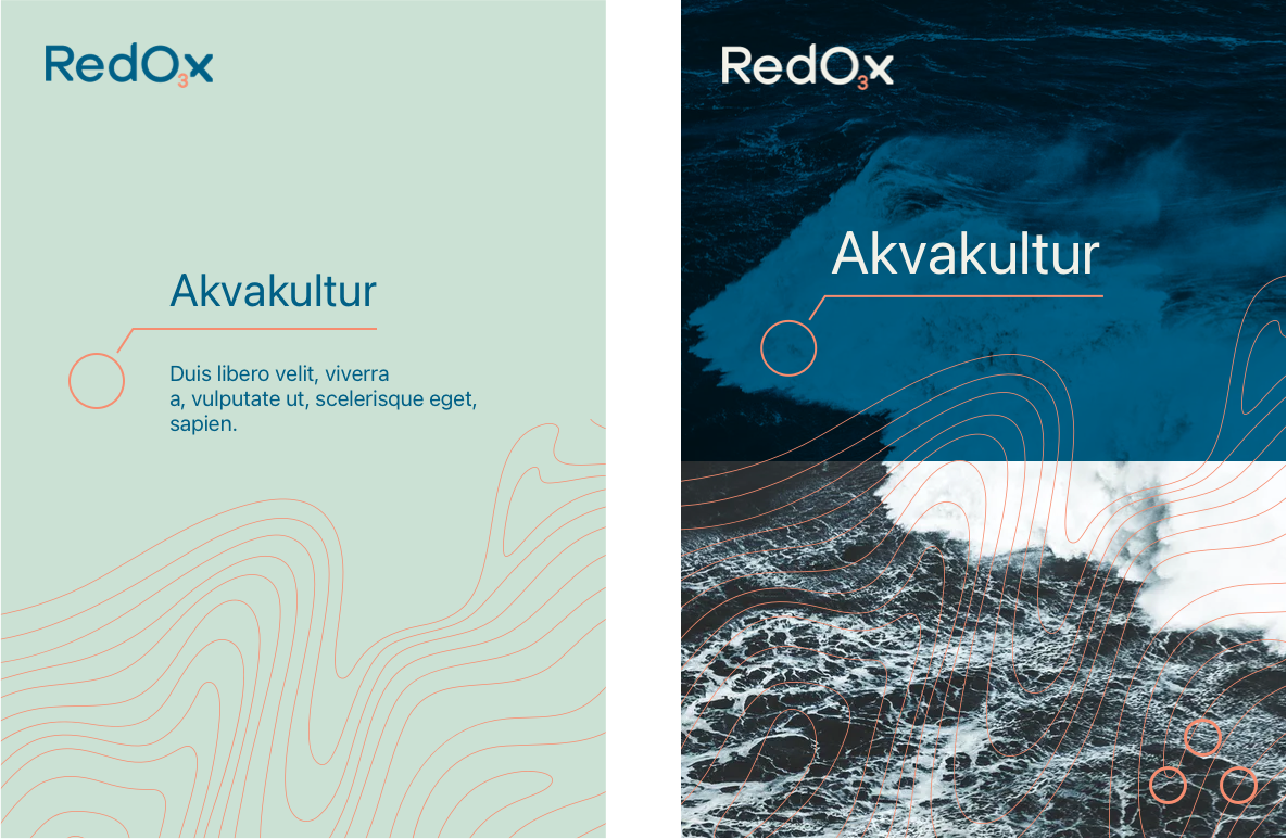 Redox - brand identity, guideline and assets.