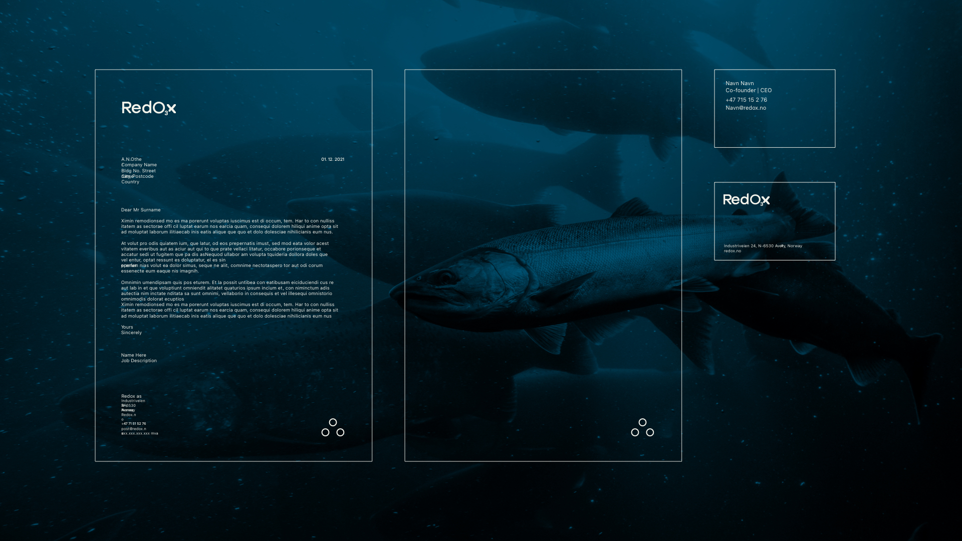 Redox - brand identity, guideline and assets.