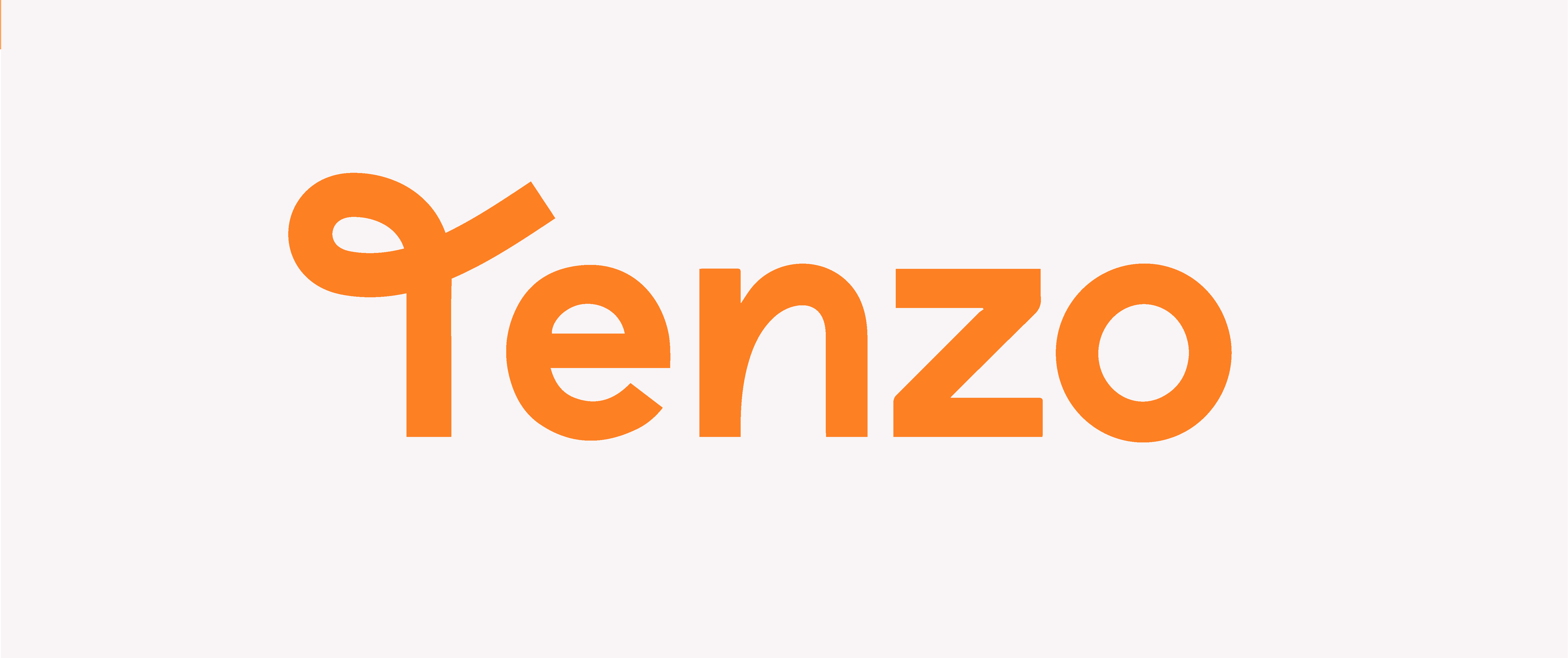 Tenzo - brand identity, guideline and assets.