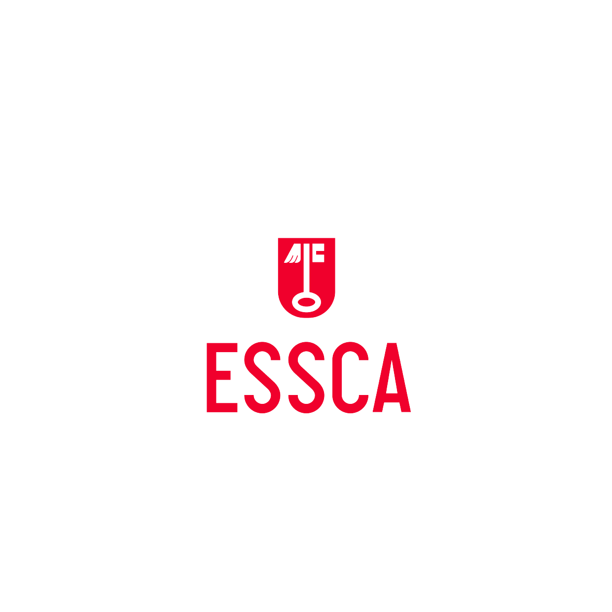 ESSCA - brand identity, guideline and assets.