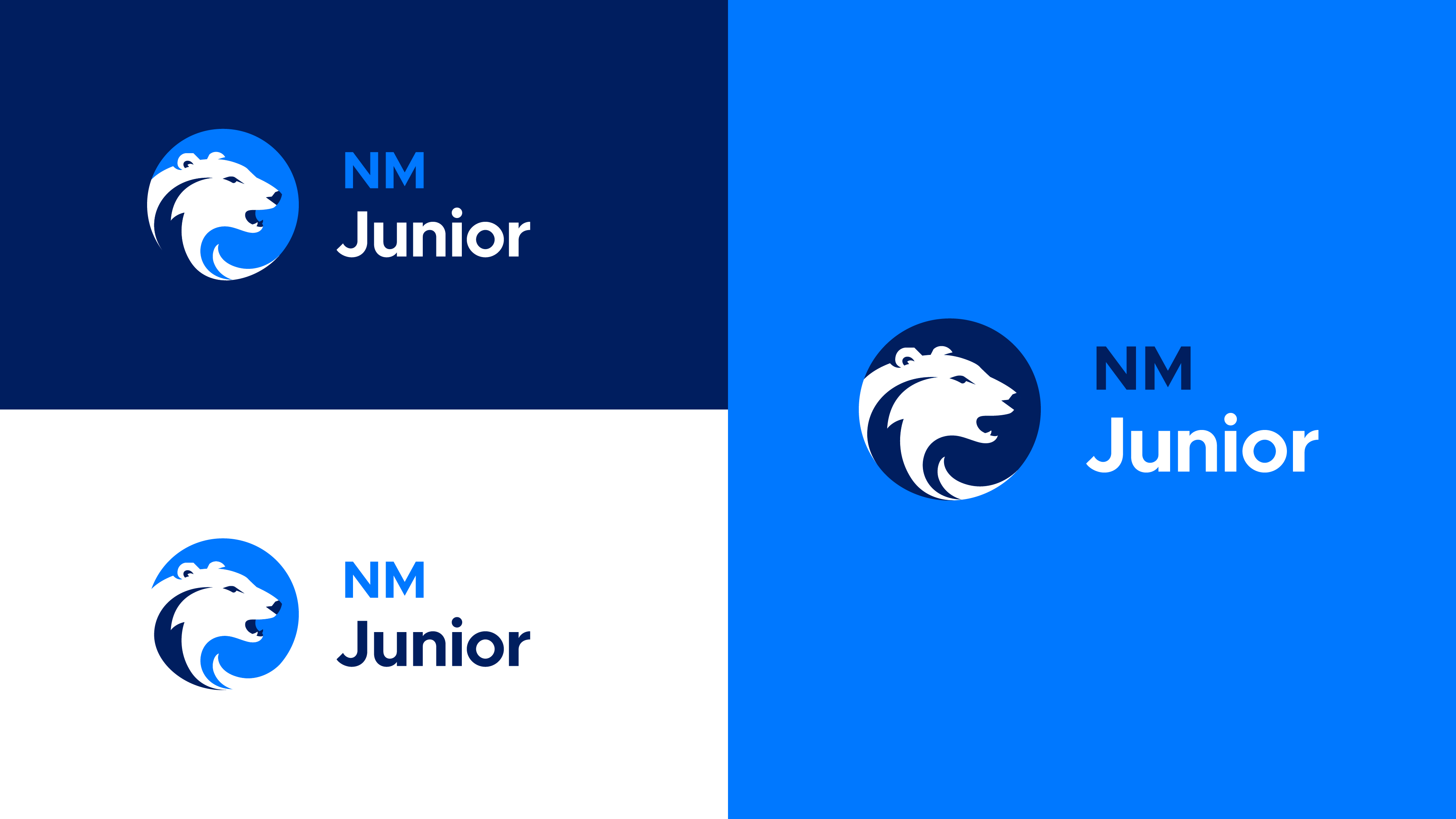 Norges Håndballforbund - brand identity, guideline and assets.