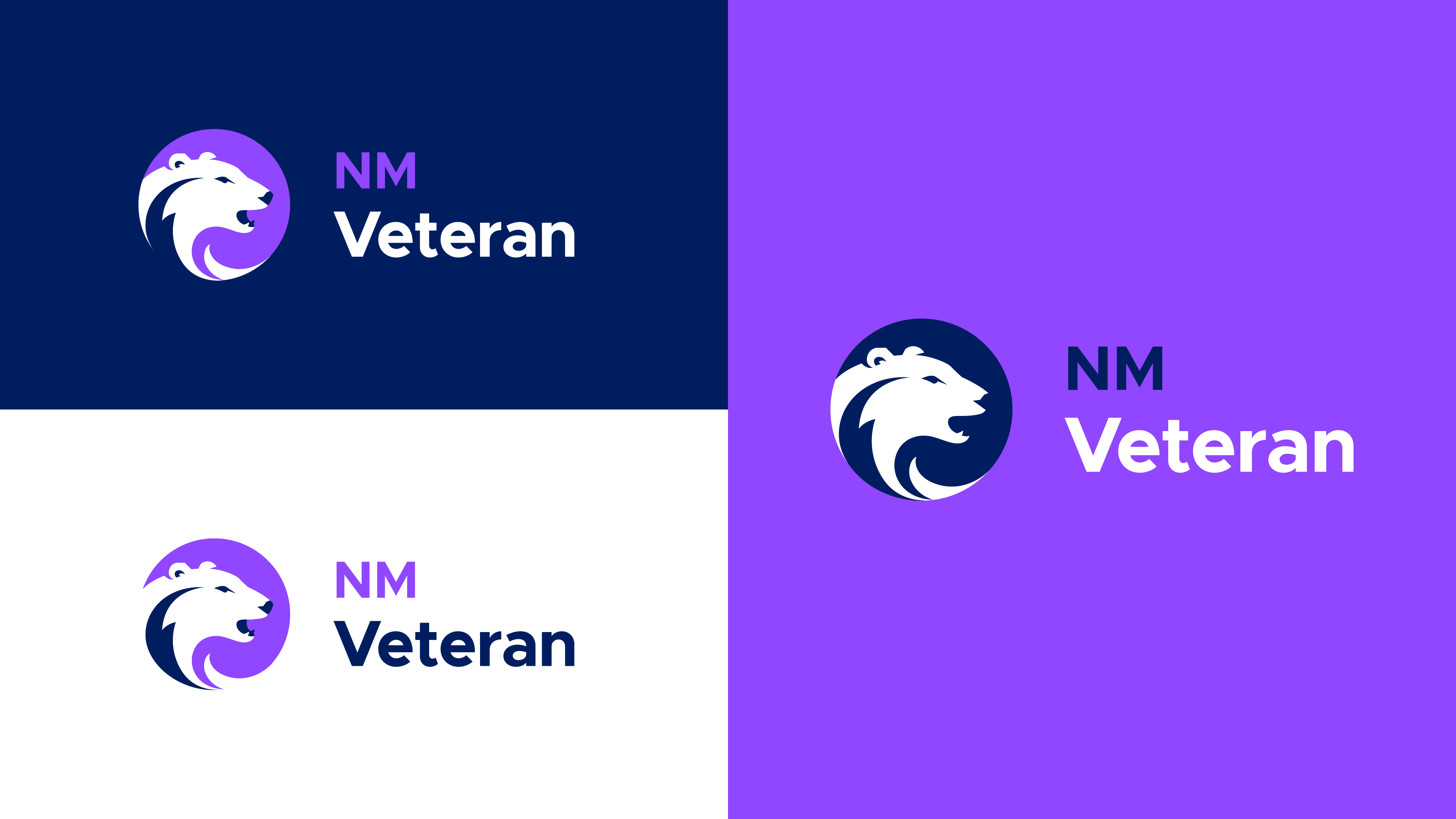 Norges Håndballforbund - brand identity, guideline and assets.