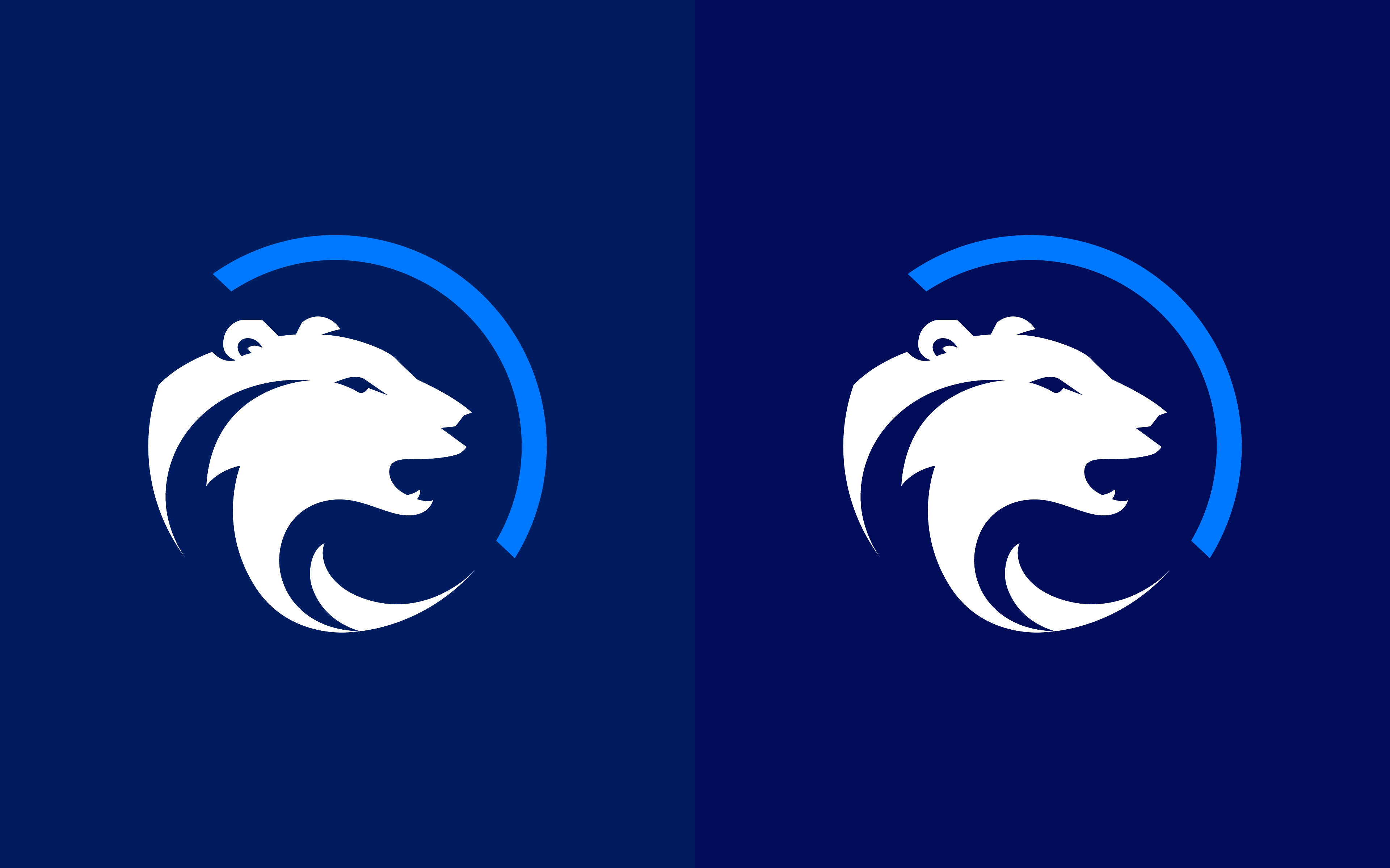 Norges Håndballforbund - brand identity, guideline and assets.