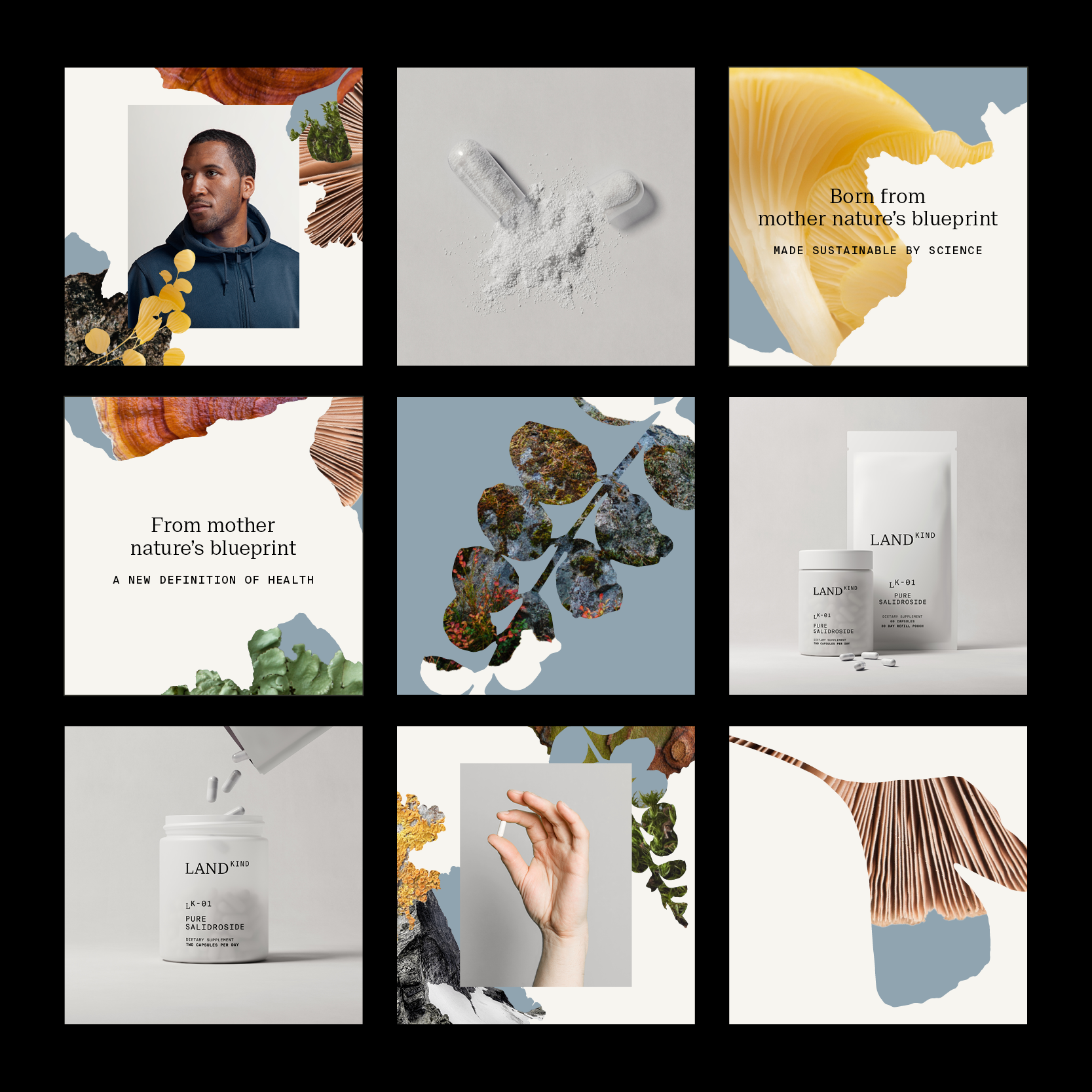 Landkind - brand identity, guideline and assets.