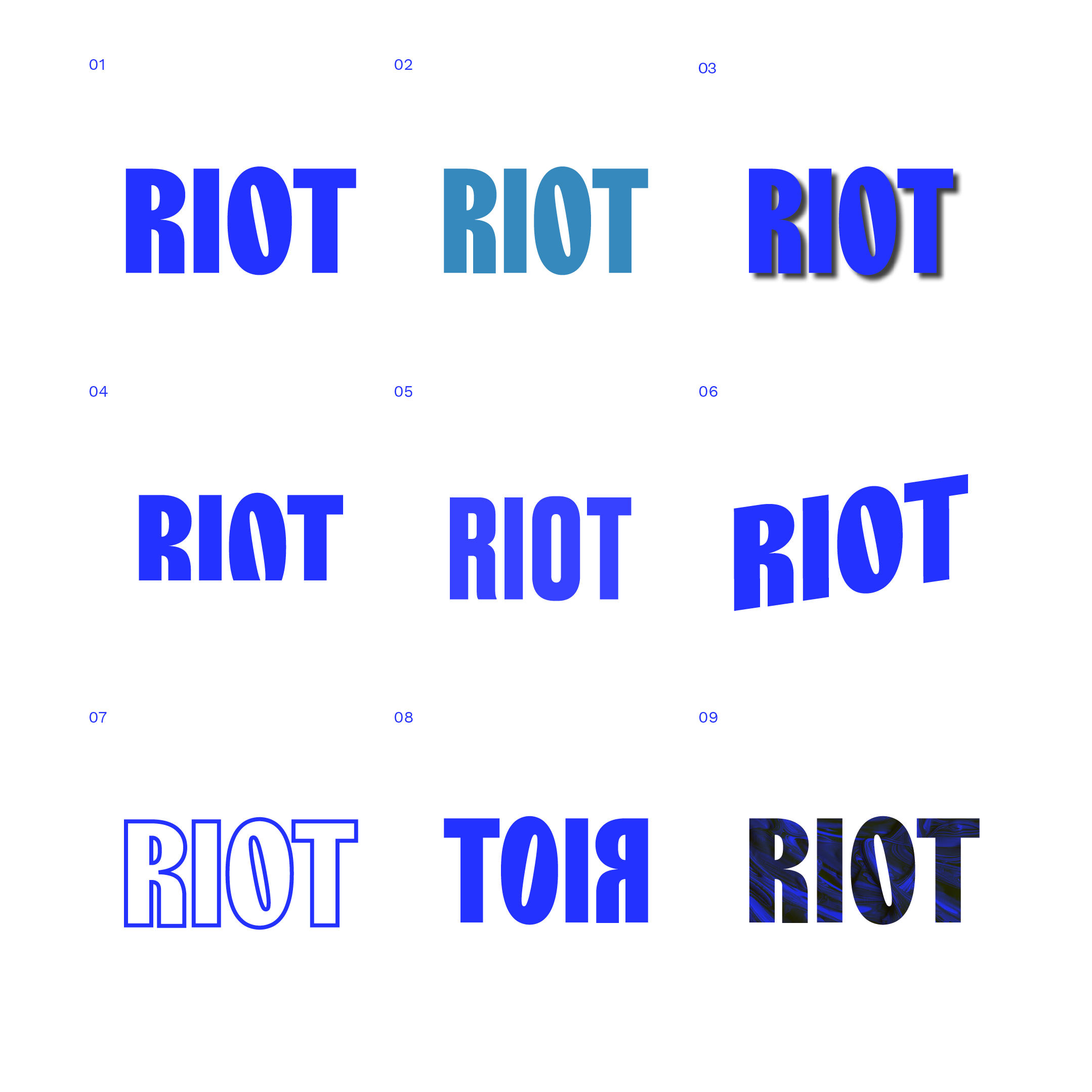 RIOT - brand identity, guideline and assets.