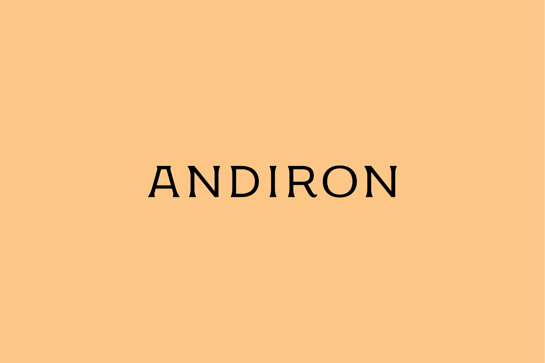 Andiron - brand identity, guideline and assets.
